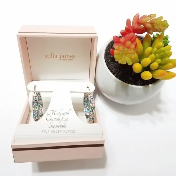 Sofia James New York | Jewelry | Sofia James Hoops Plated Sliver ...